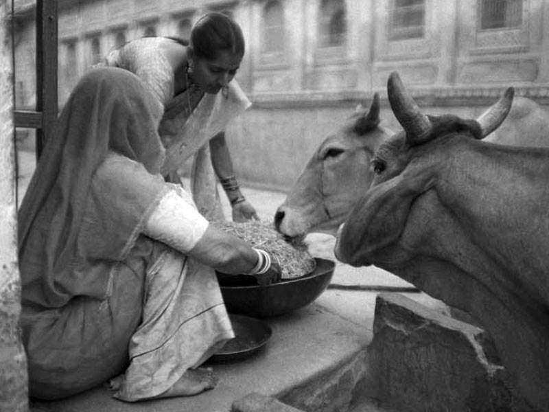 India - Pickett Pictures LLC